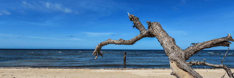 Las mejores playas del sur de Lima